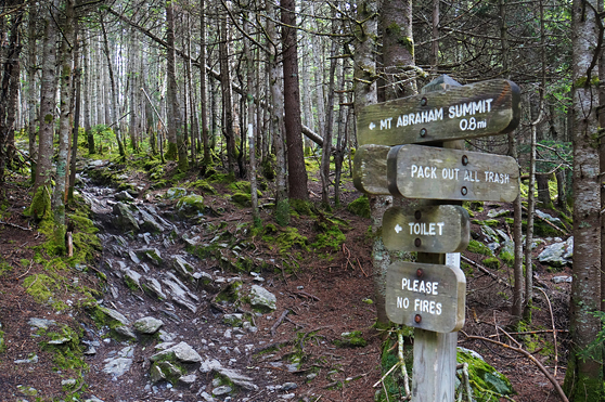 Hike mount abraham vermont 4000 footers VT Mt Abraham Green mountains