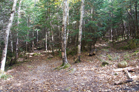 Hike Mount Nancy New England Hundred Highest hiking list NH