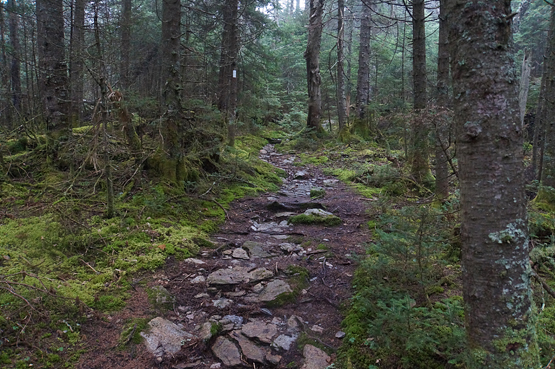 Hike Bread Loaf Mountain Vermont VT New England Hundred Highest Bread ...